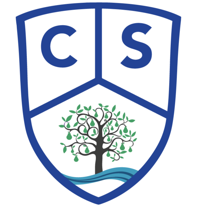 Remote Learning | Carnforth School