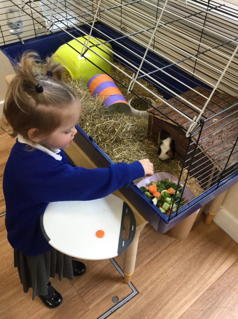 Nursery | Carnforth School