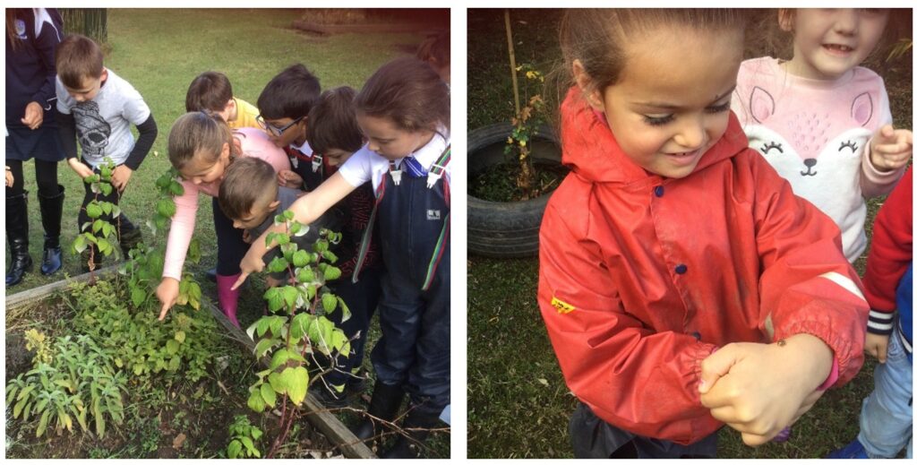 Year 2 | Carnforth School